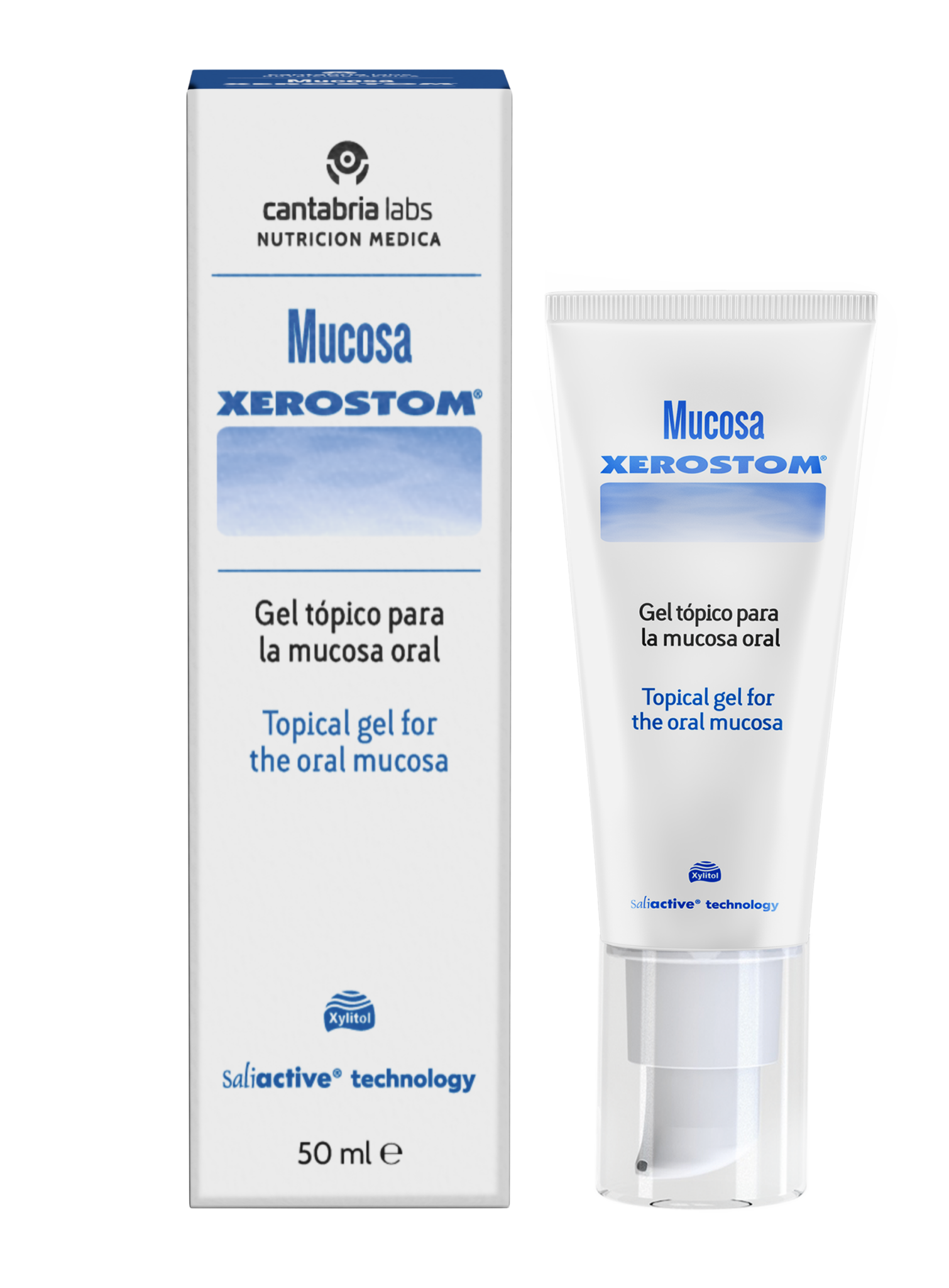 Vestibular Mucosa